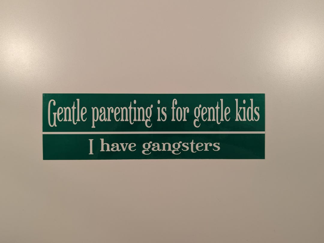 Gentle Parenting is for Gentle Kids, I Have Gangsters - Etsy