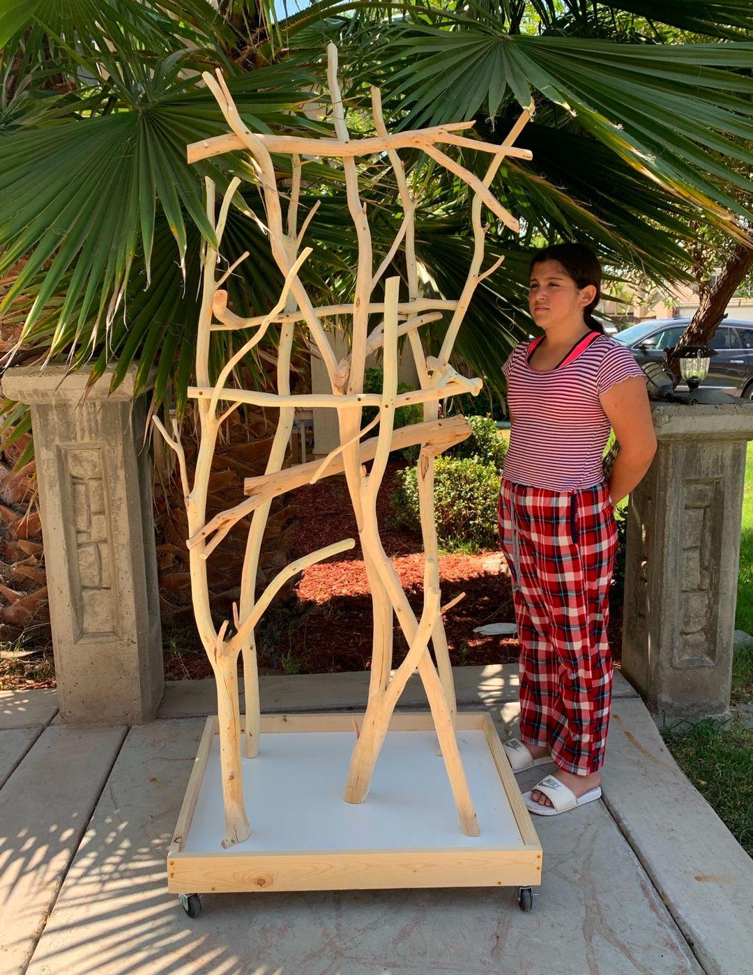 Bird Jungle Medium Bird Stand Parrot Perch Strongest Wood Parrot Stands ...