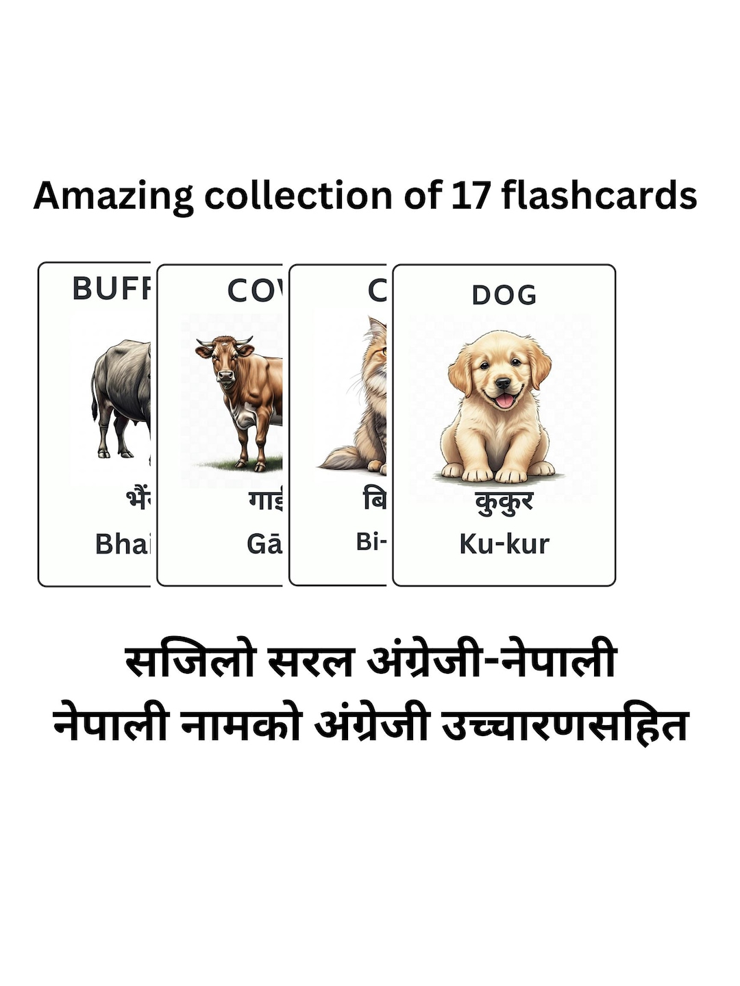 Nepali Animal Flashcards: Learn Domestic Animals in Nepali and English ...