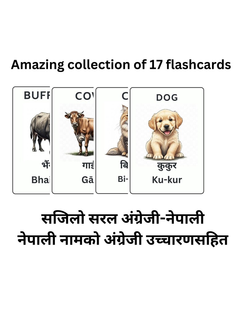 Nepali Animal Flashcards: Learn Domestic Animals in Nepali and English ...