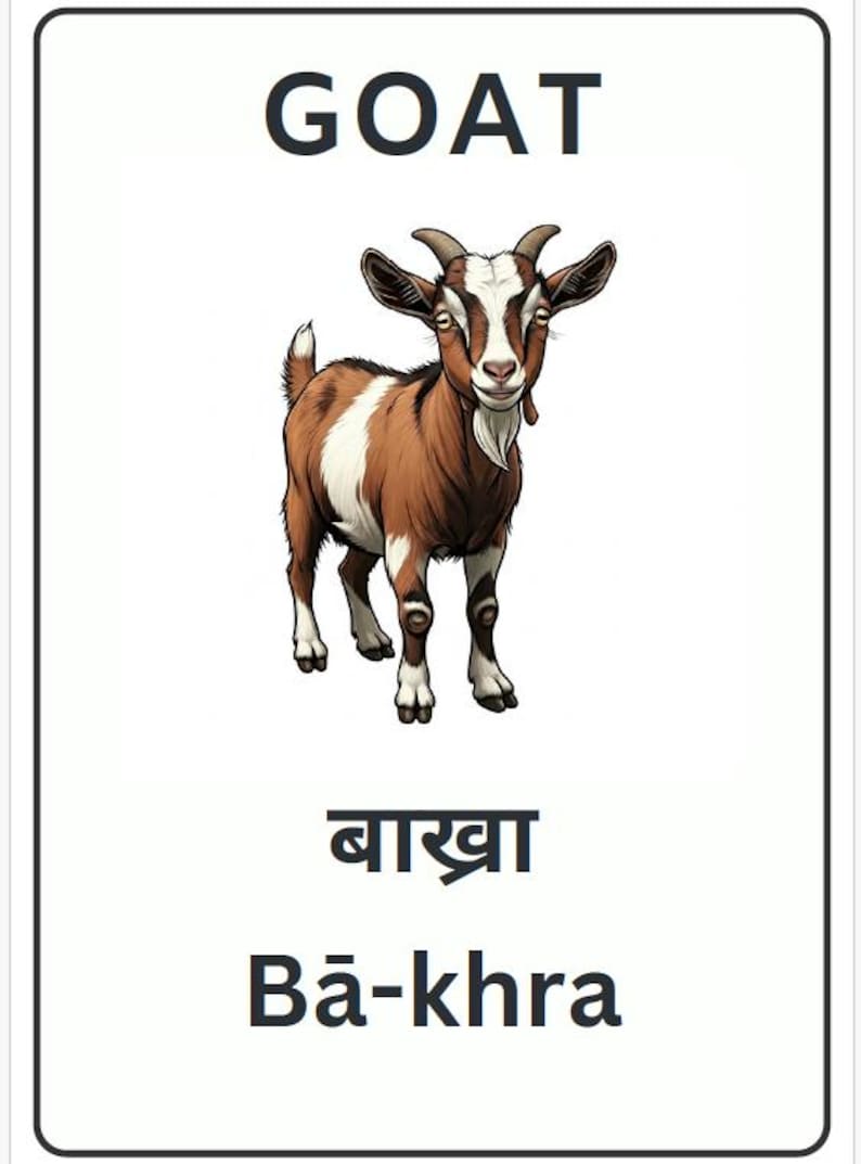 Nepali Animal Flashcards: Learn Domestic Animals in Nepali and English ...
