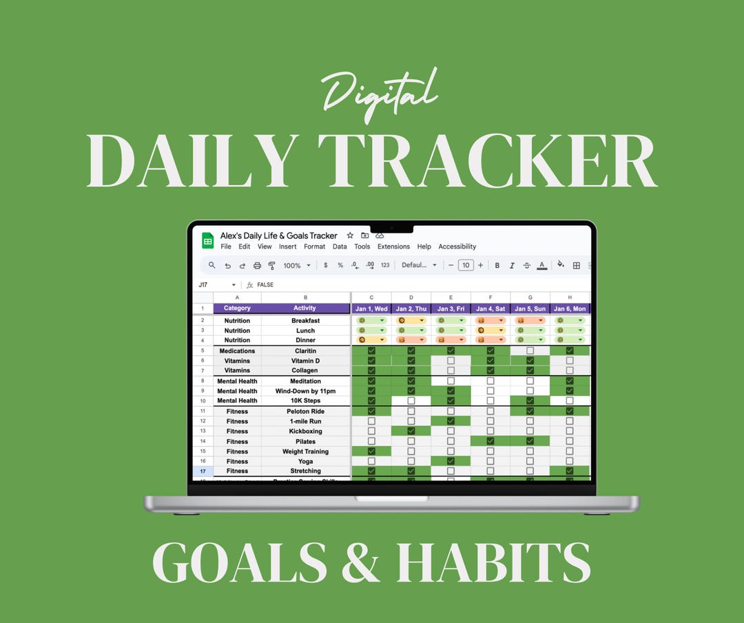 2025 Daily Goals & Habits Digital Tracker | Google Sheets, Excel ...