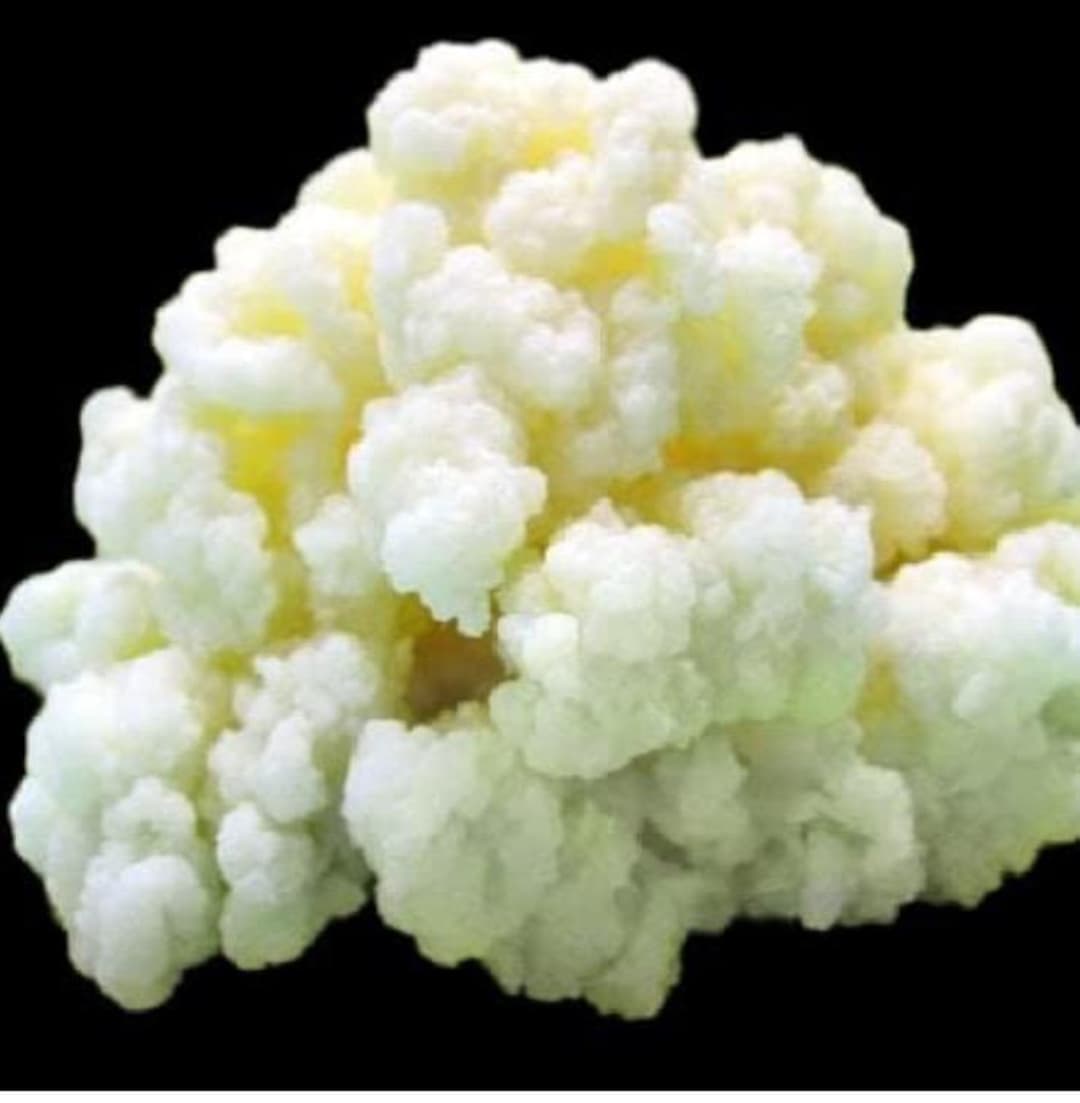 Active Kefir Starter Grains: Homemade Milk Kefir Culture - Etsy