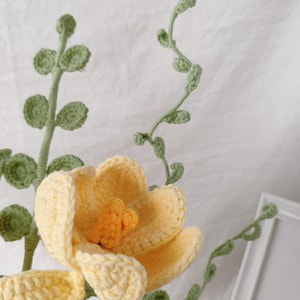 7-in-1 Flower Crochet Pattern: Lily, Tulip, Daisy (PDF Pattern) - Etsy