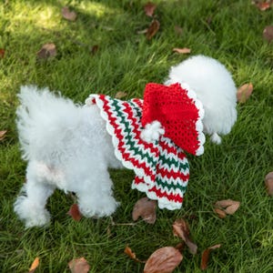 Crochet Christmas Pet Cape Pattern (PDF Download): Dog Dress, Paw ...