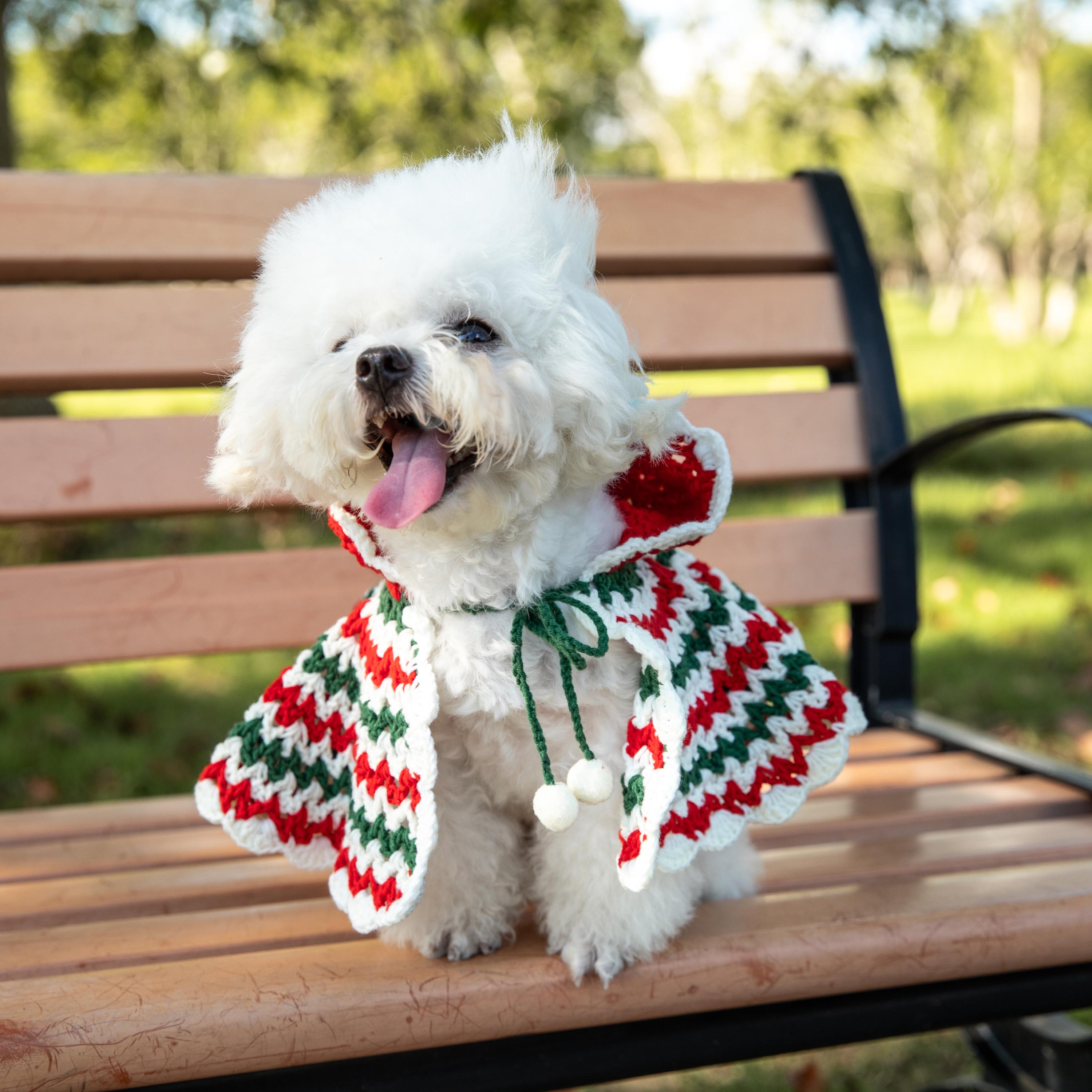 Crochet Christmas Pet Cape Pattern (PDF Download): Dog Dress, Paw ...