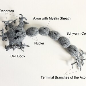 Knit Your Own Amigurumi Neuron (pdf Knitting Pattern) - Etsy