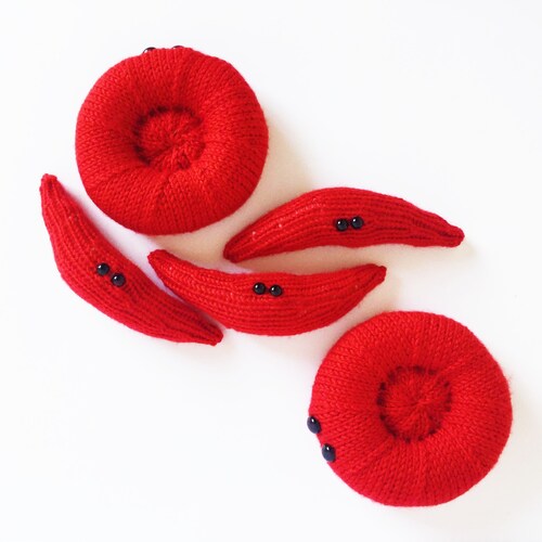 Cute Red Blood Cell Morphology Clip Art Hematology Cute - Etsy