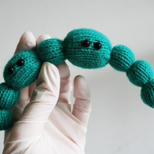 Knit Your Own Cyanobacteria Filament - Etsy