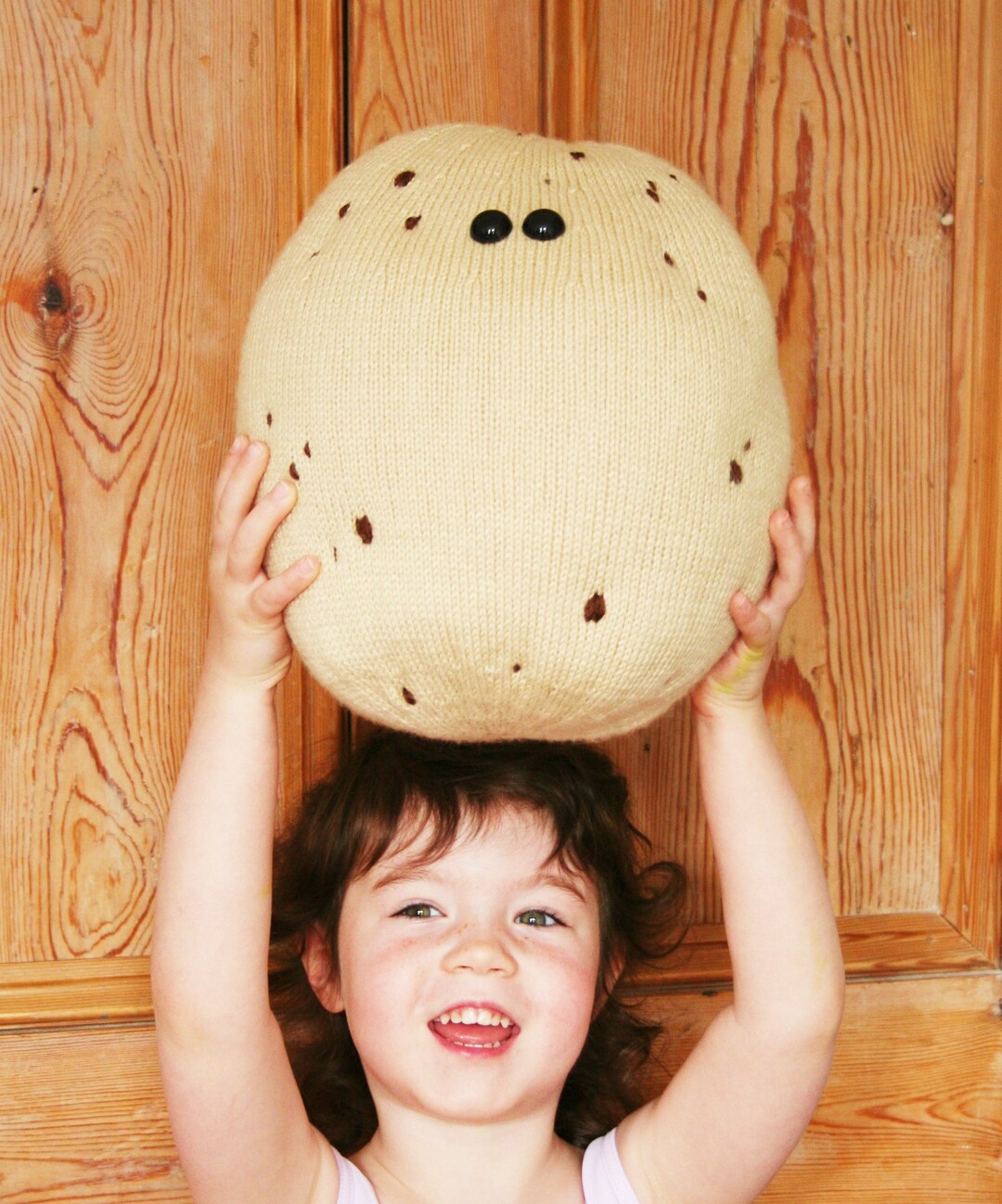 Knit Your Own Couch Potato Mini-cushion (pdf Knitting Pattern) - Etsy