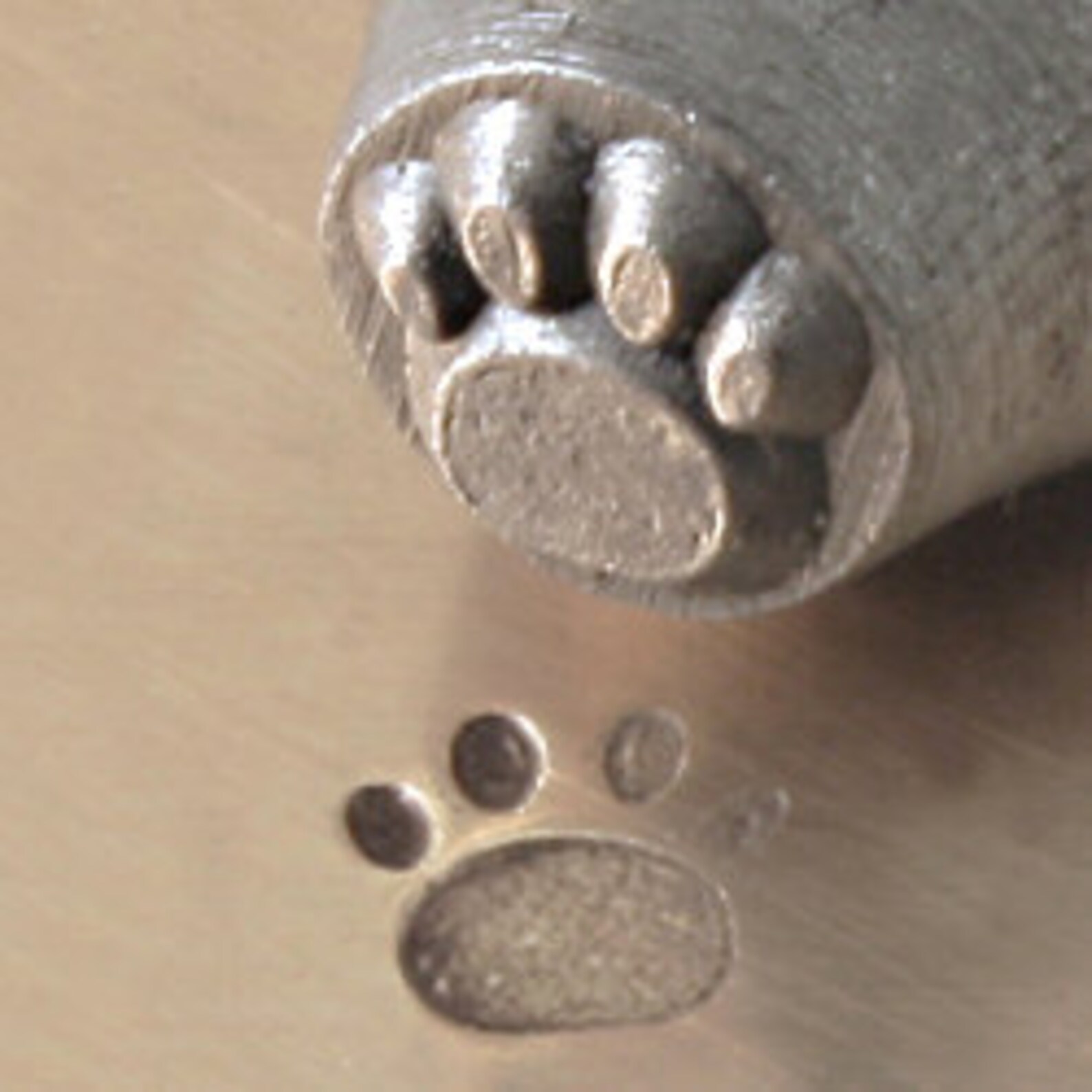 Design Stamp - Paw Print 6mm Metal Stamp - Etsy