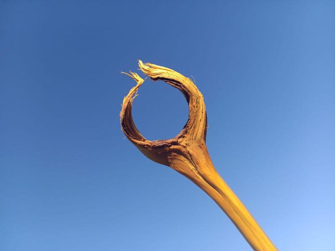 The World's Most Expensive Stick - Etsy