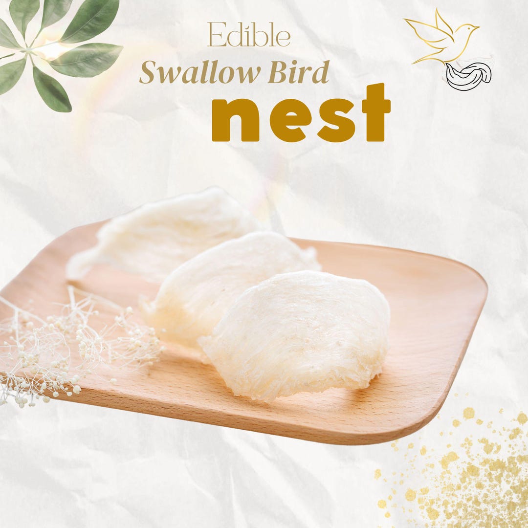 Premium Natural Edible Swallow Bird's Nest Super Dried - White Large ...