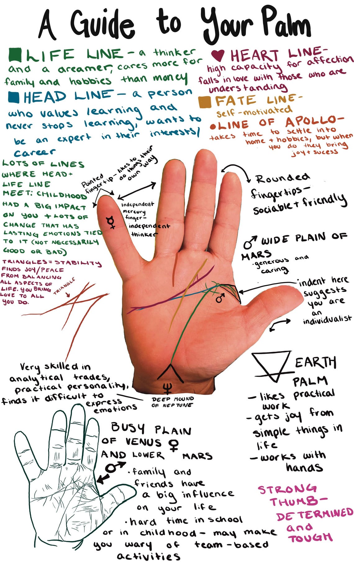 Palm Reading Diagrams and Maps - Etsy Canada