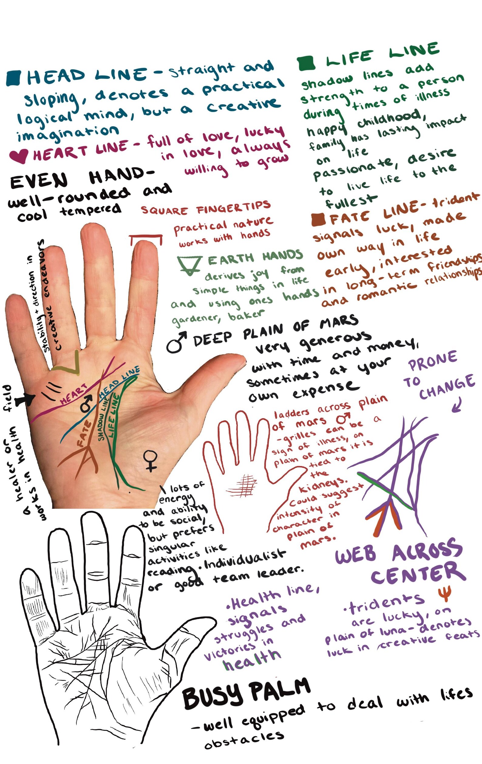 Palm Reading Diagrams and Maps - Etsy