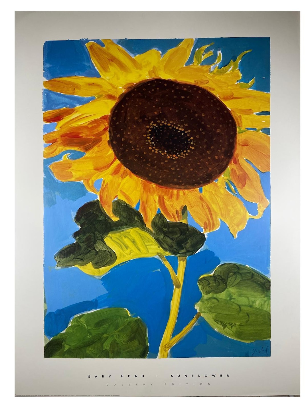 Sunflower by Gary Head - Etsy