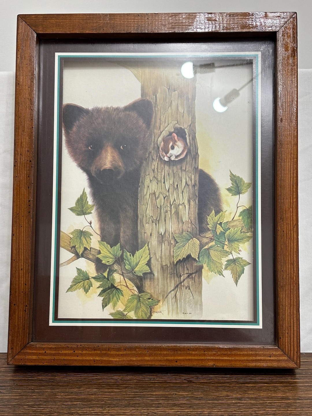 Vintage Shadow Box Print “woodland Bear Cub and Chipmunk Framed ...