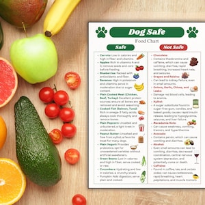 Dog Food Guide, Printable Safe Dog Food Dogs to Eat, Dog Dietary Chart ...