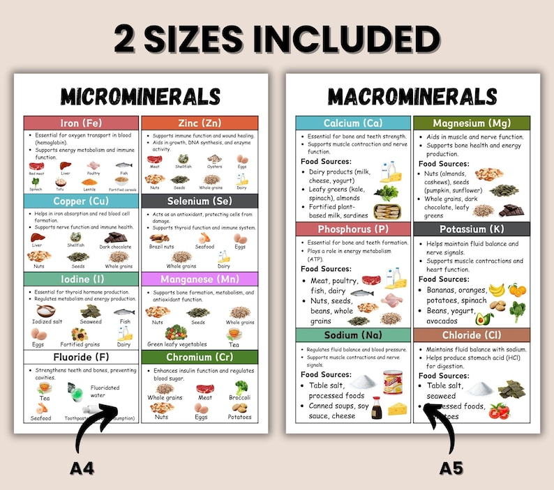 Vitamins and Mineral Chart Sheet, Nutrition Facts Food List, Essential ...