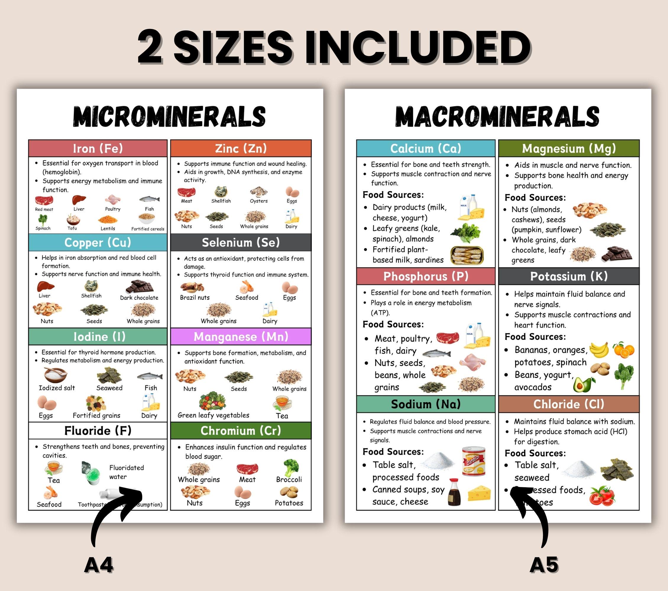 Vitamins and Mineral Chart Sheet, Nutrition Facts Food List, Essential ...