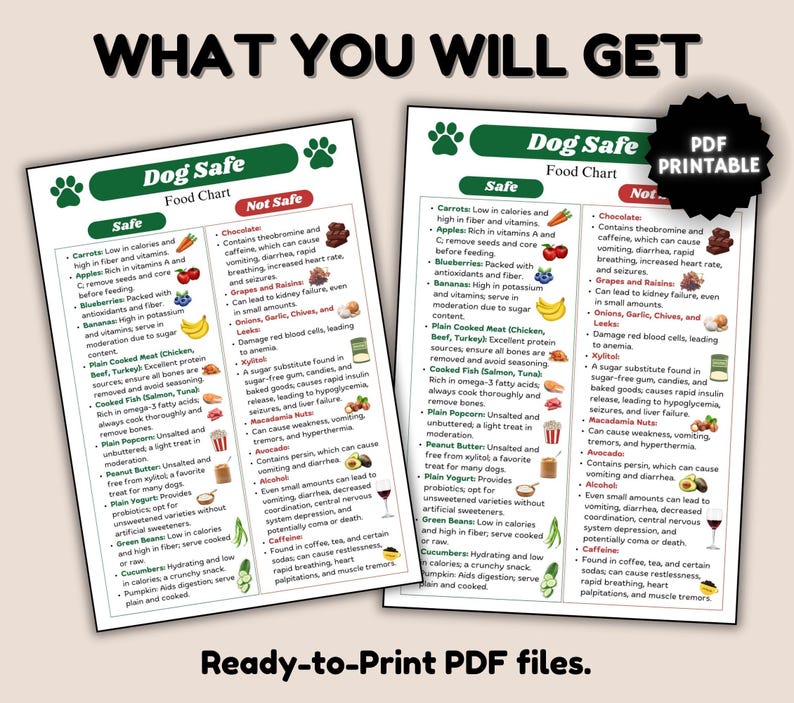 Dog Food Guide, Printable Safe Dog Food Dogs to Eat, Dog Dietary Chart ...
