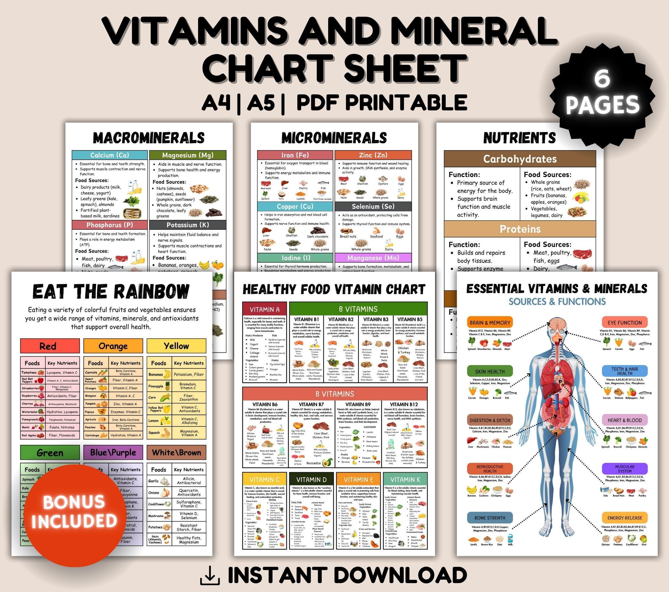 Vitamins and Mineral Chart Sheet, Nutrition Facts Food List, Essential ...