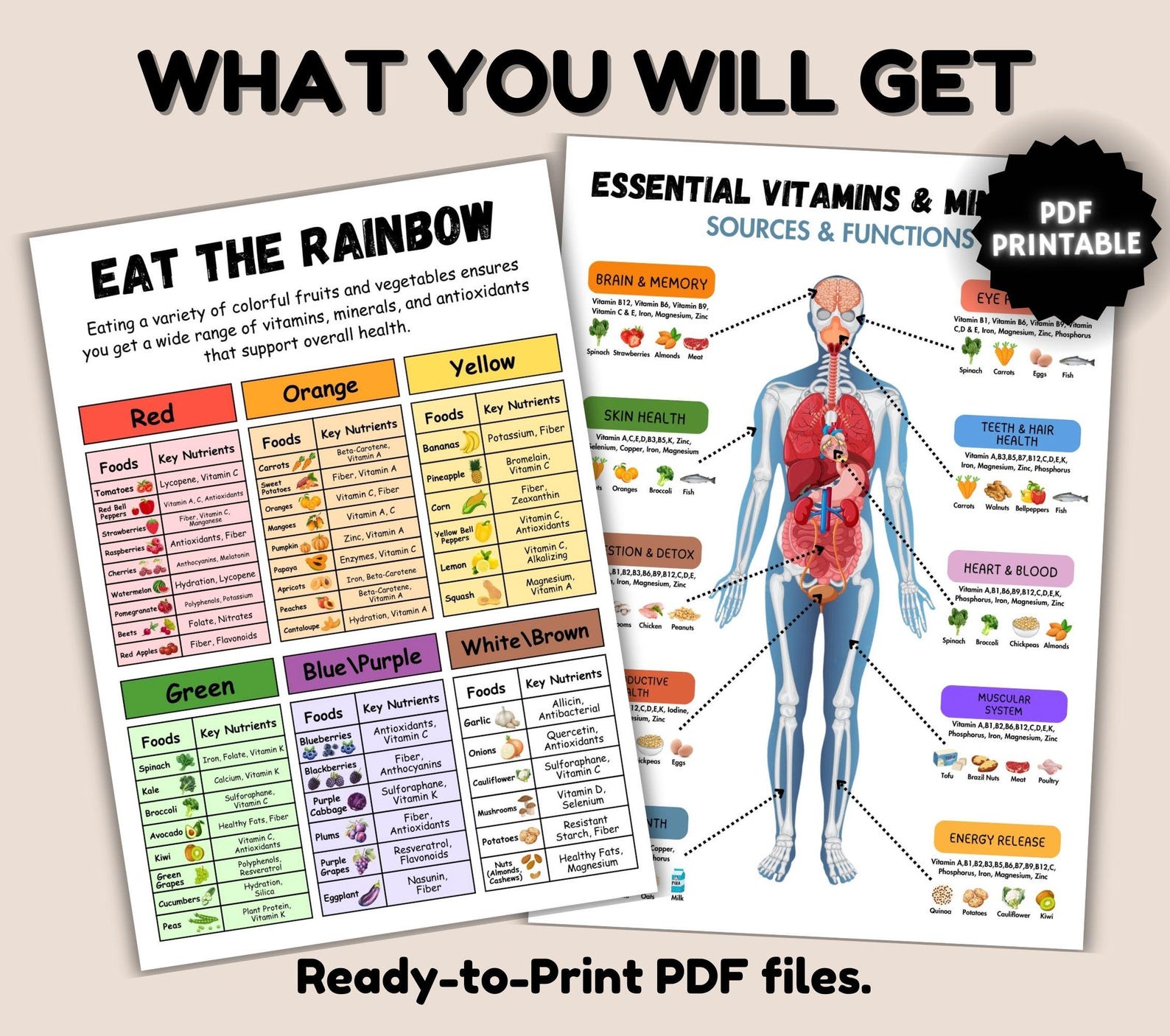 Vitamins and Mineral Chart Sheet, Nutrition Facts Food List, Essential ...