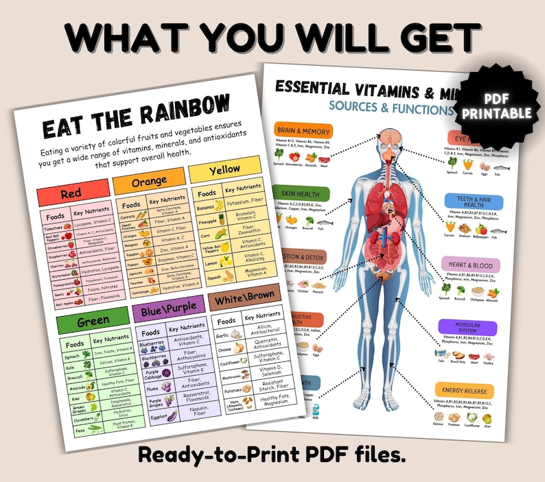Vitamins and Mineral Chart Sheet, Nutrition Facts Food List, Essential ...