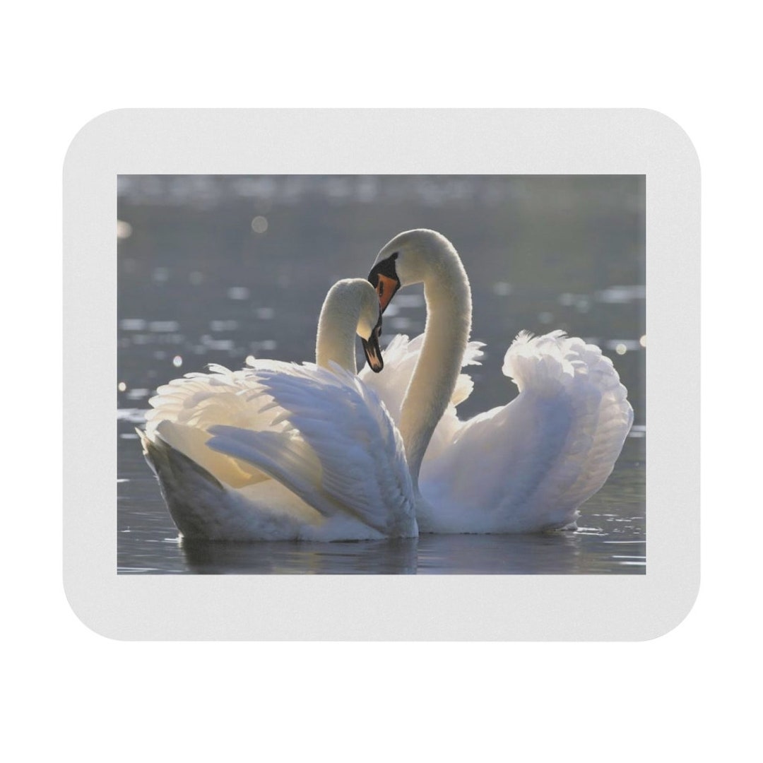 Swan Lovers Mouse Pad: Heart-shaped Swans, USA Made - Etsy