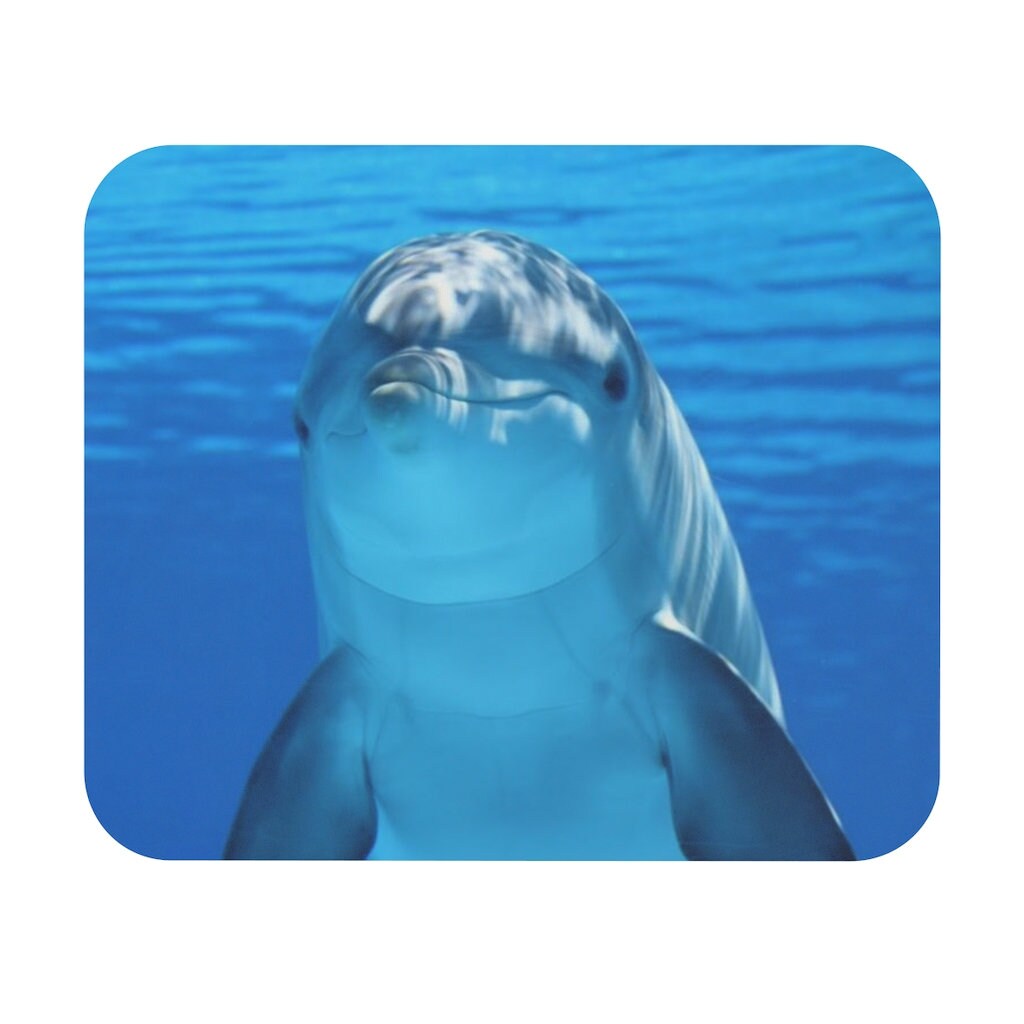 Dolphin Mouse Pad: Smiley Face Bottle Nose Design - Etsy