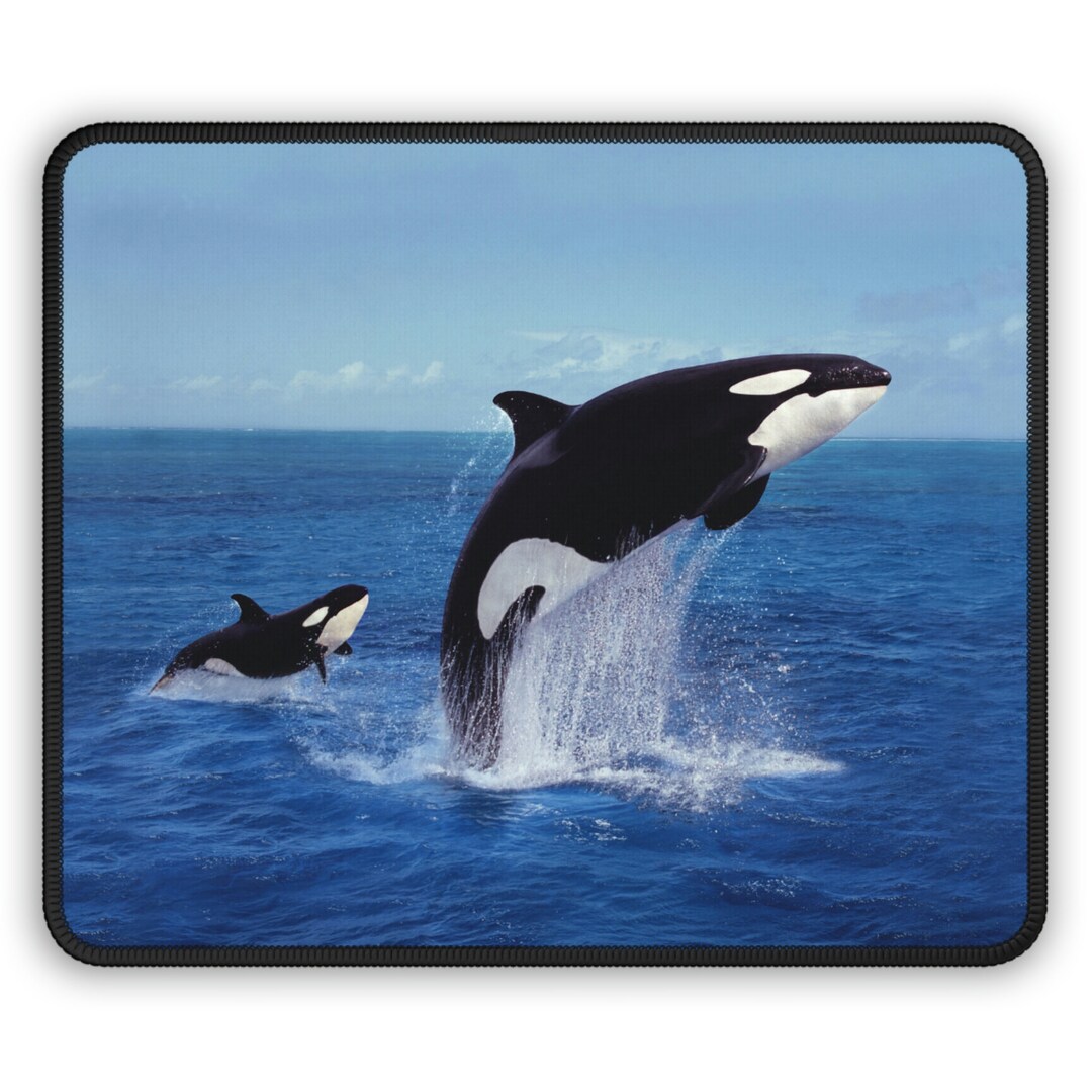 Mouse Pad ~ Orca Whales Jumping Mom and Calf ~ on A Gaming Mouse Pad ...