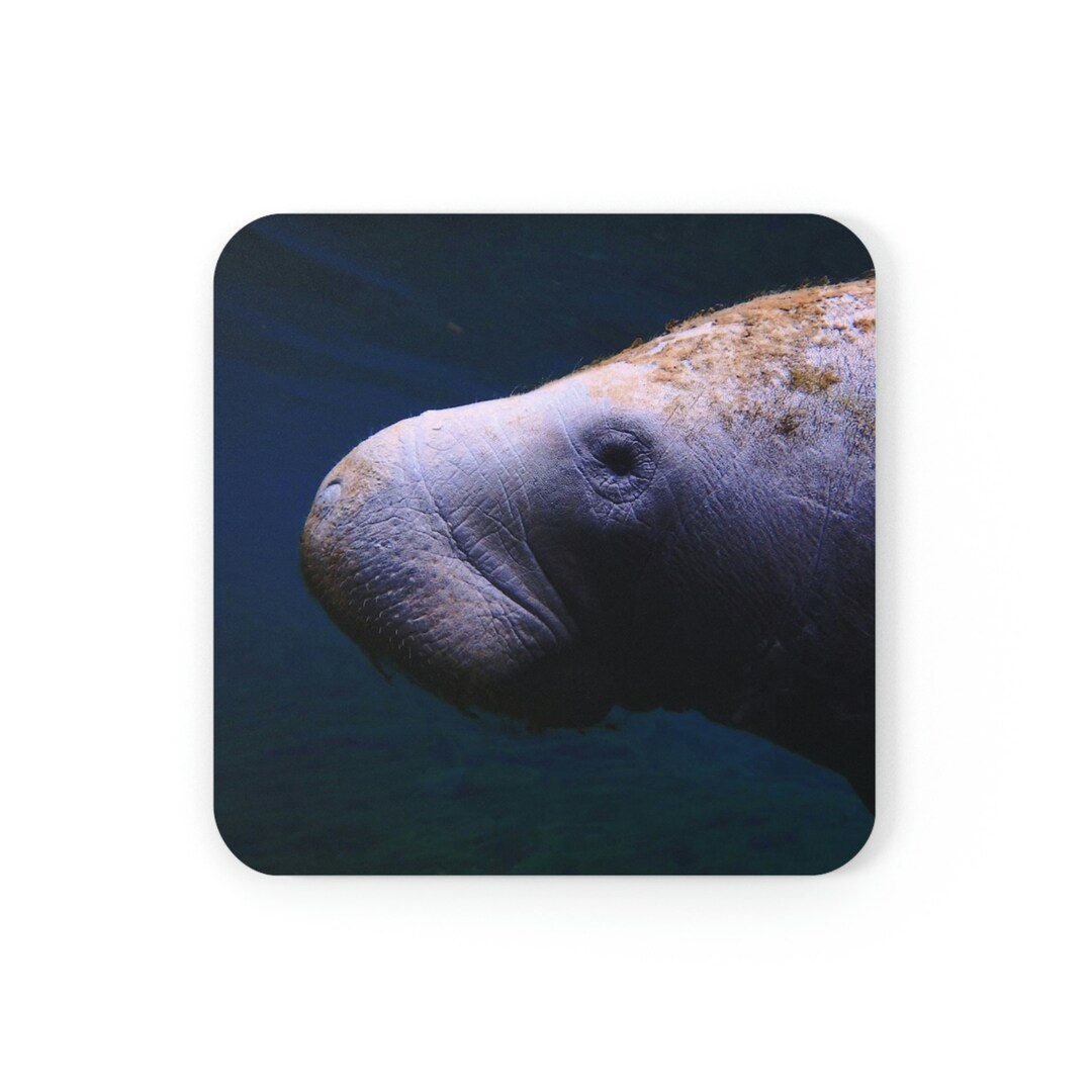 Sea Cow Manatee Chubby Mermaid Pink Nose Corkwood Coaster Set Beach ...
