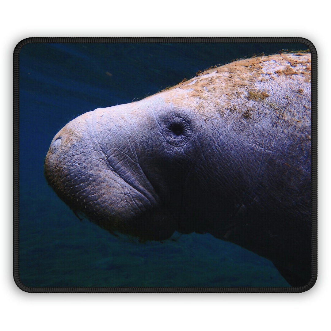 Mouse Pad ~ Manatee Sea Cow Chubby Mermaid Pink Nose ~ on A Gaming Mouse Pad~ Beach House or ...
