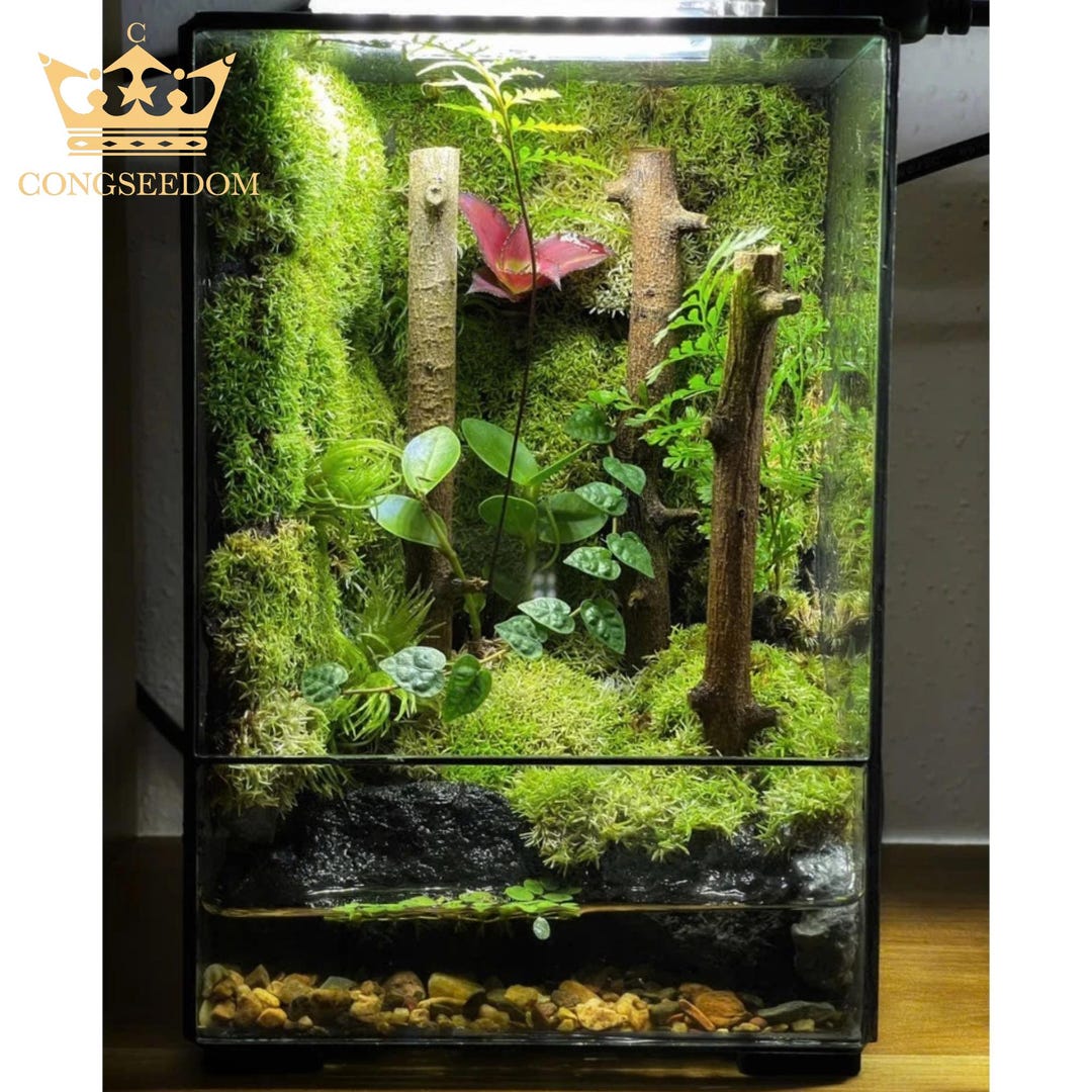 Lush Mini Forest Terrarium, 12x9x18 Cm - Detailed Glass Plant Display ...