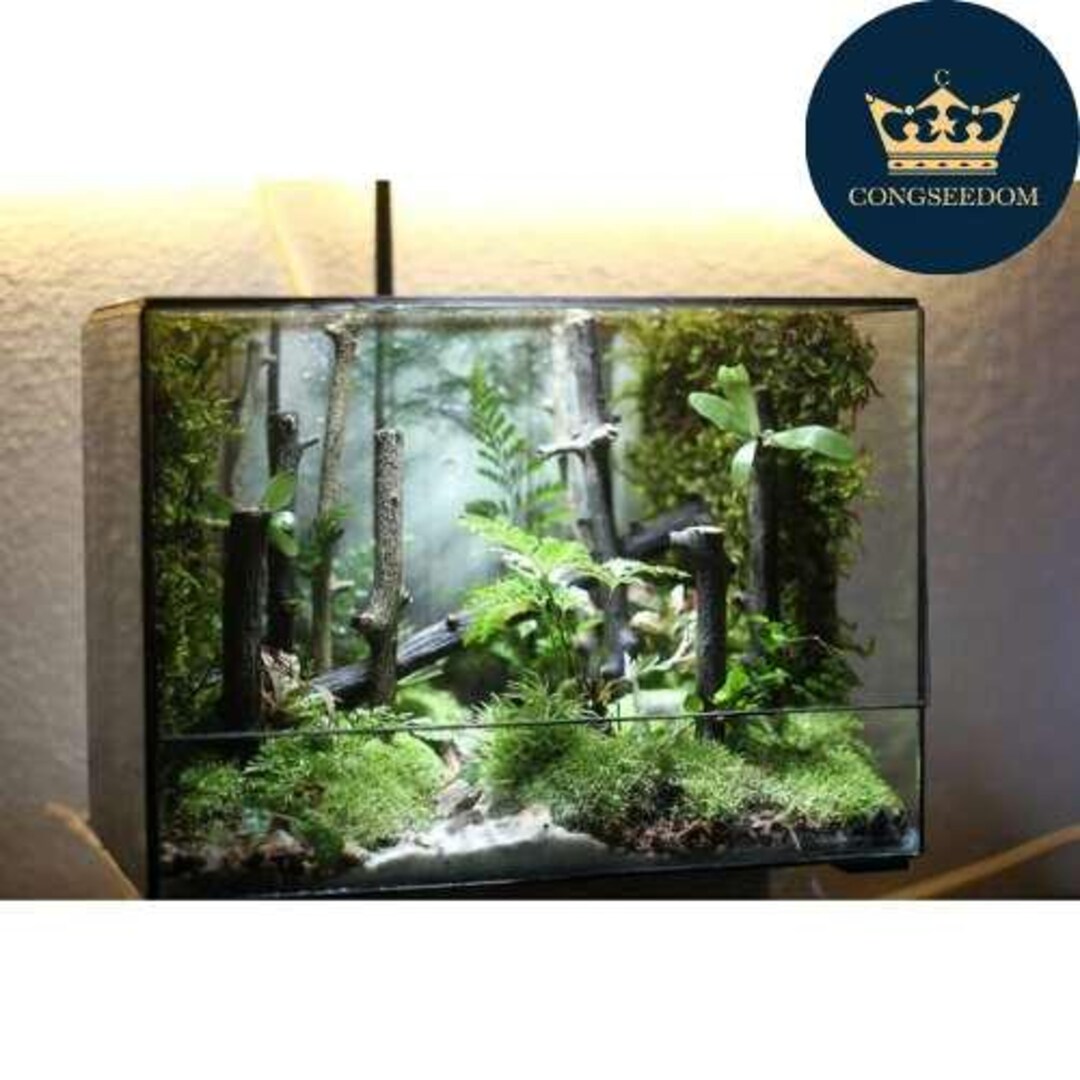 Horizontal LED Terrarium With Forest Landscape Design - Etsy