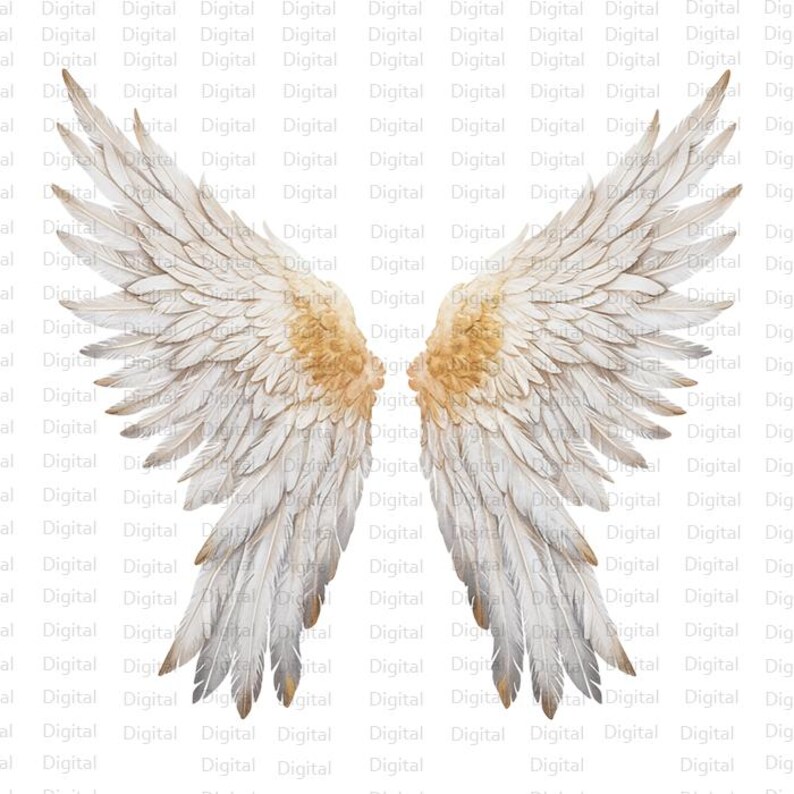 6 Angel Wings Watercolor PNG, Celestial Wings, Ethereal Angelic Wings ...