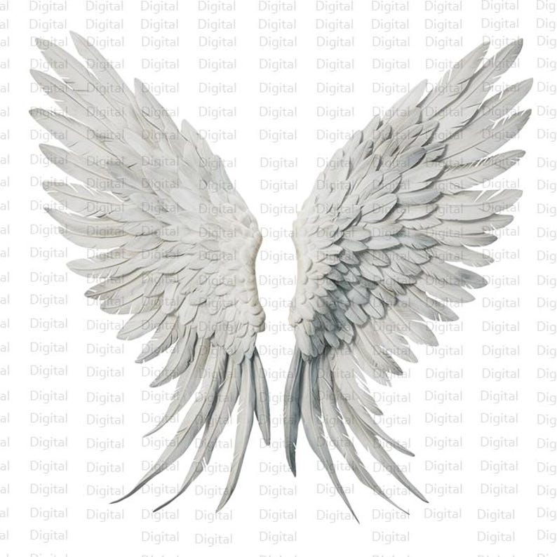 6 Angel Wings Watercolor PNG, Celestial Wings, Ethereal Angelic Wings ...