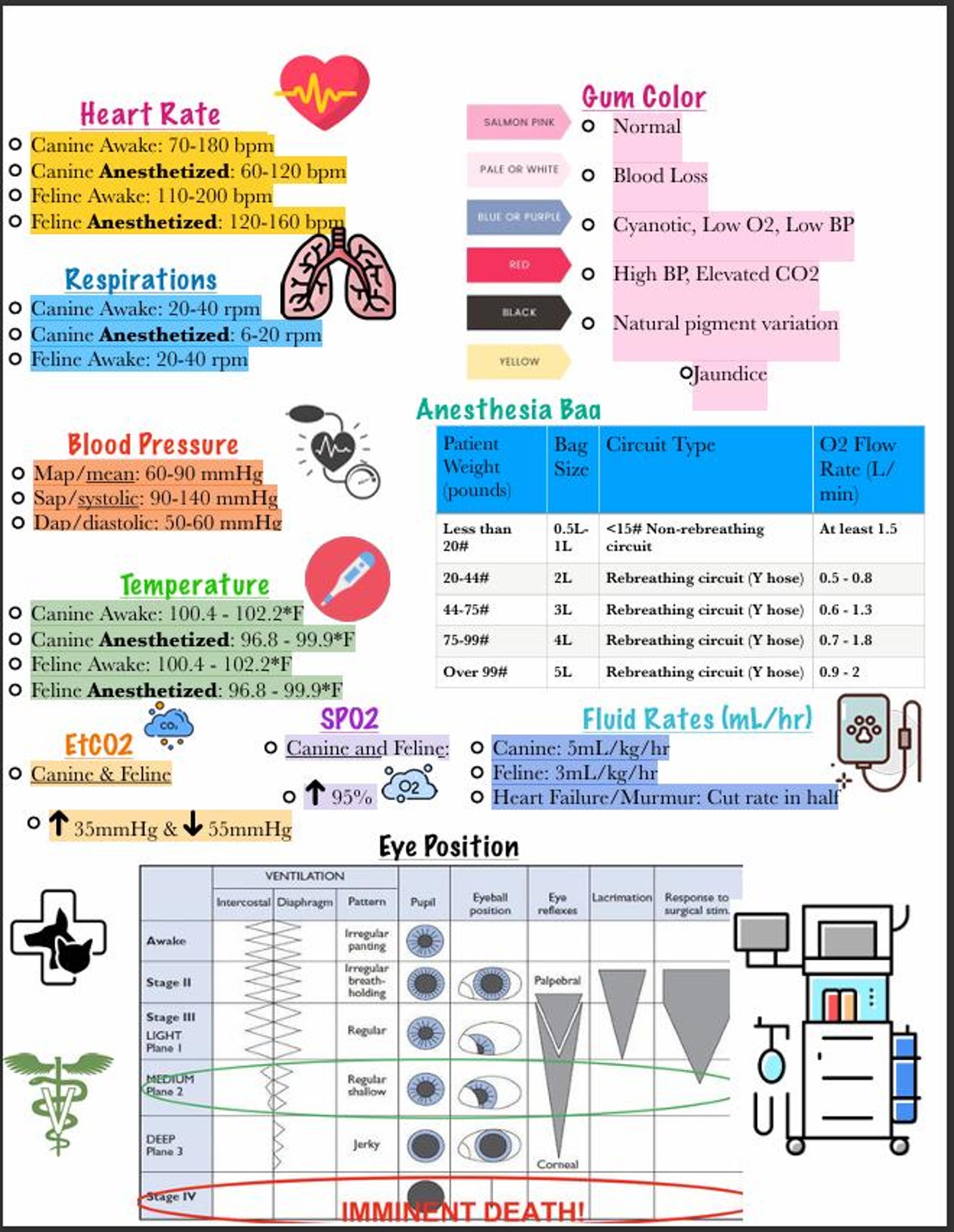 Veterinary Anesthesia and Monitoring Quick Reference Guide - Etsy