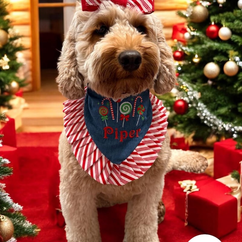 Pet Bandana Ruffle - Etsy