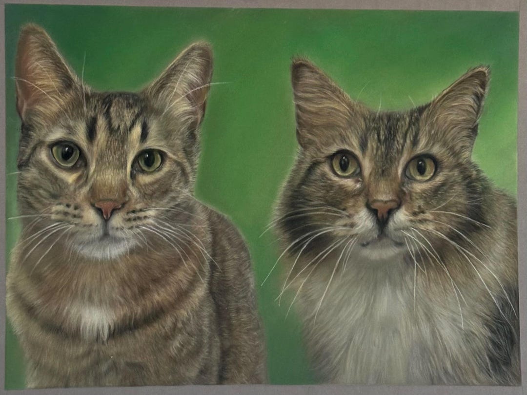 Custom Animal Drawings| Pet Memorial| Realistic Animal Artwork - Etsy