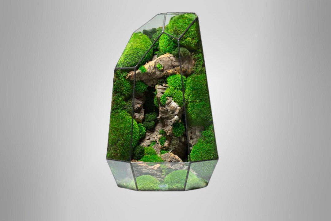 Geometric Prism Terrarium Desktop Mossarium Centrepiece Preserved Moss ...