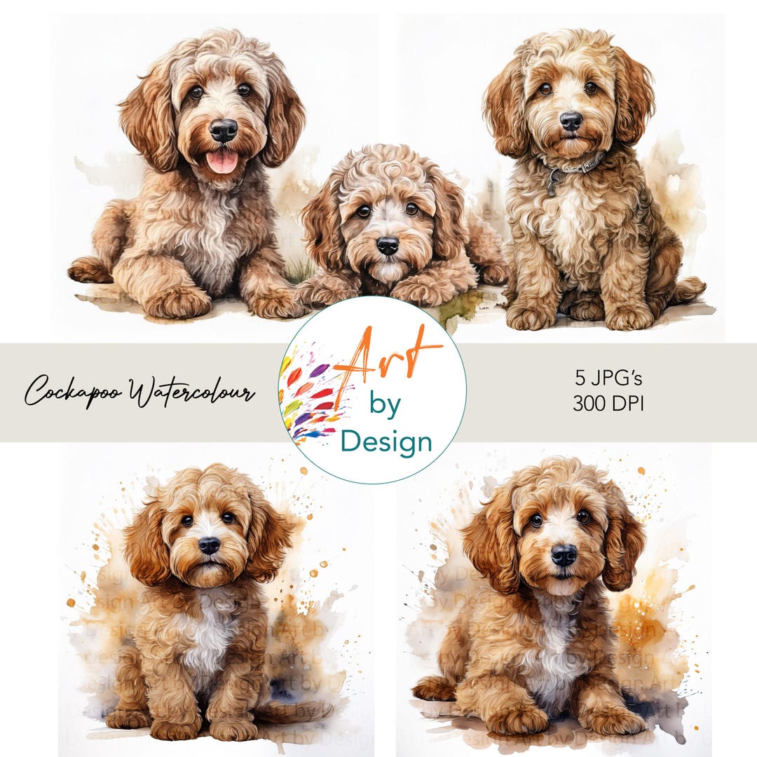 Cockapoo Clipart| Set of 5 Watercolour Illustrations| Card Making ...