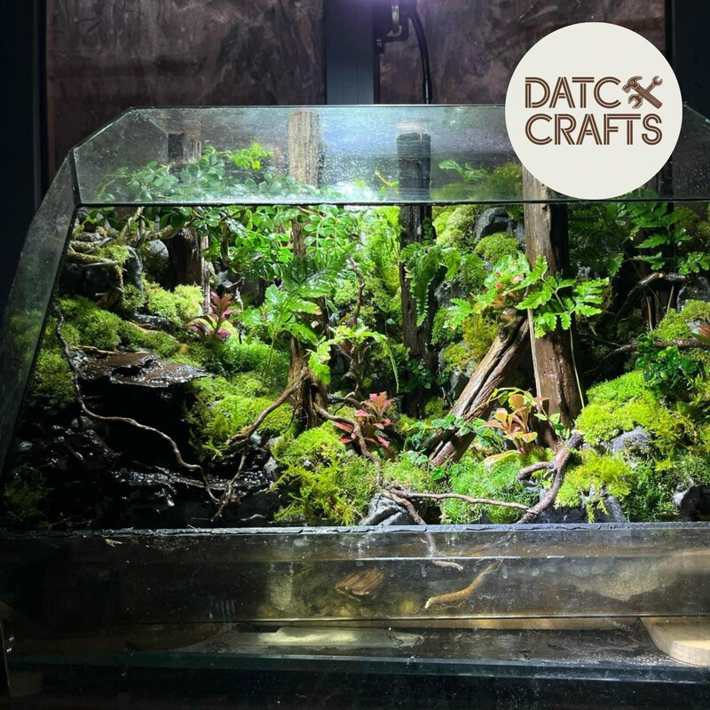 Terrarium Miniatures - Etsy
