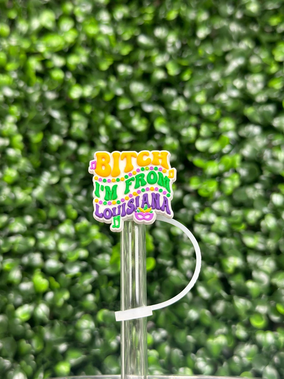 I’m From Louisiana Mardi Gras Straw Topper | 10mm | Straw Topper ...