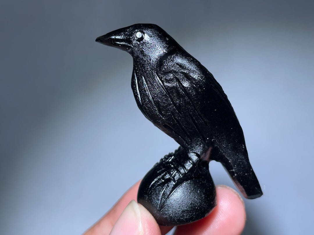 Obsidian Bird Skull Carving: Crystal Crow, Healing Stone (1.7", 20-30g ...