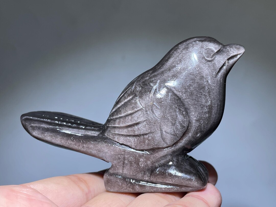Hand Carved Silver Obsidian Bird Skull: Crystal Home Decor (4.3'') - Etsy