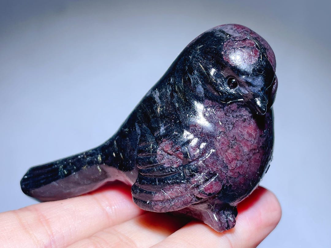 Hand Carved Garnet Bird Skull: Natural Crystal Bird Figurine (3'') - Etsy