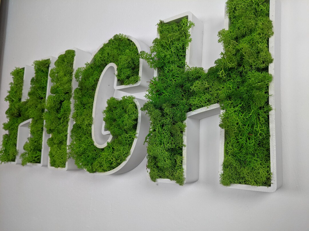 3D Business Moss Logo | Custom 3D Logo | Realistic 3D Moss Logo | Logo ...