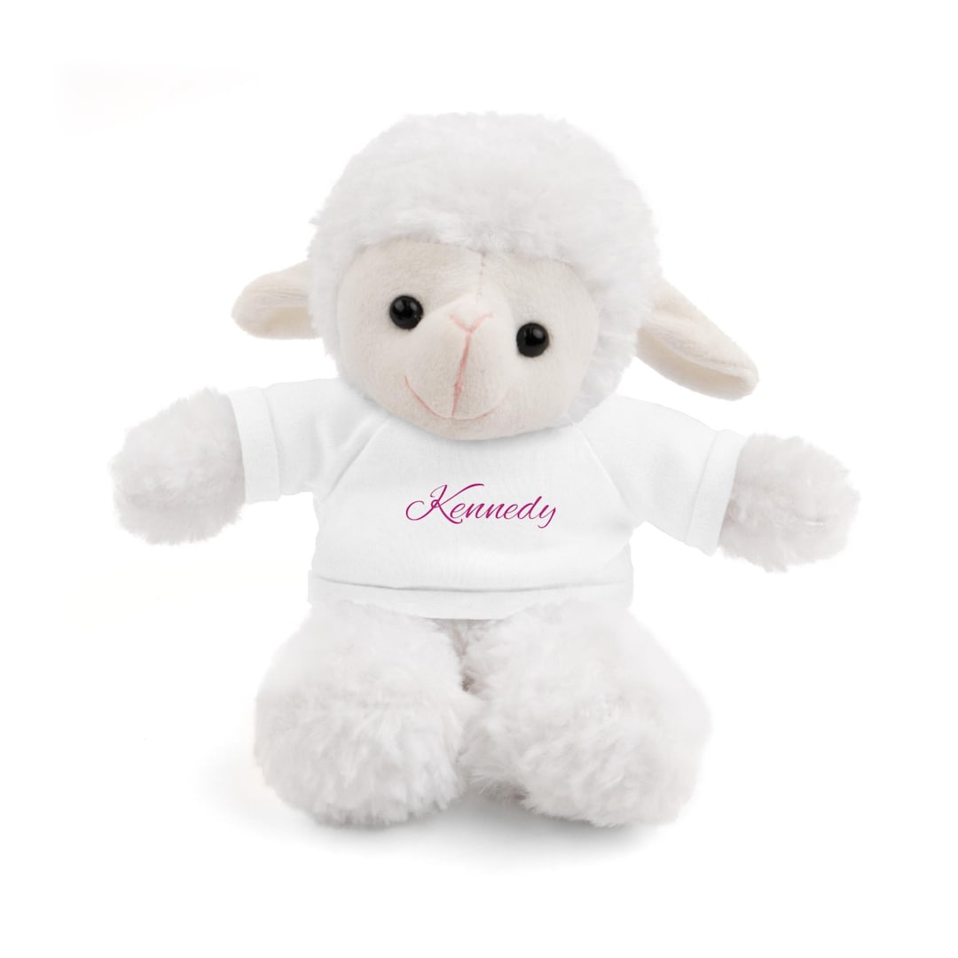 Personalized Stuffed Animals With Tee | Custom Plush Toys, Perfect ...
