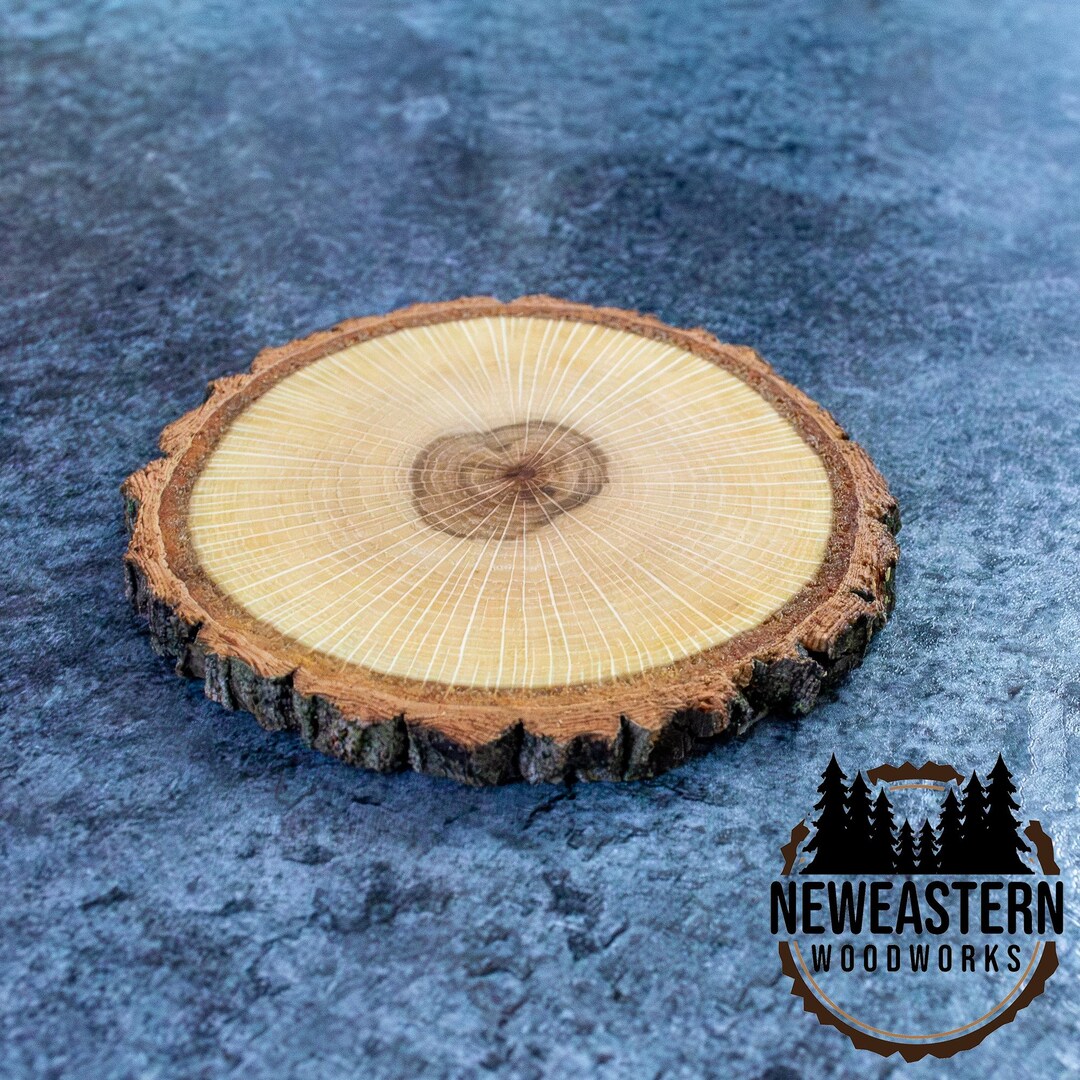 Tree Trunk Coaster With Live Edges - Etsy